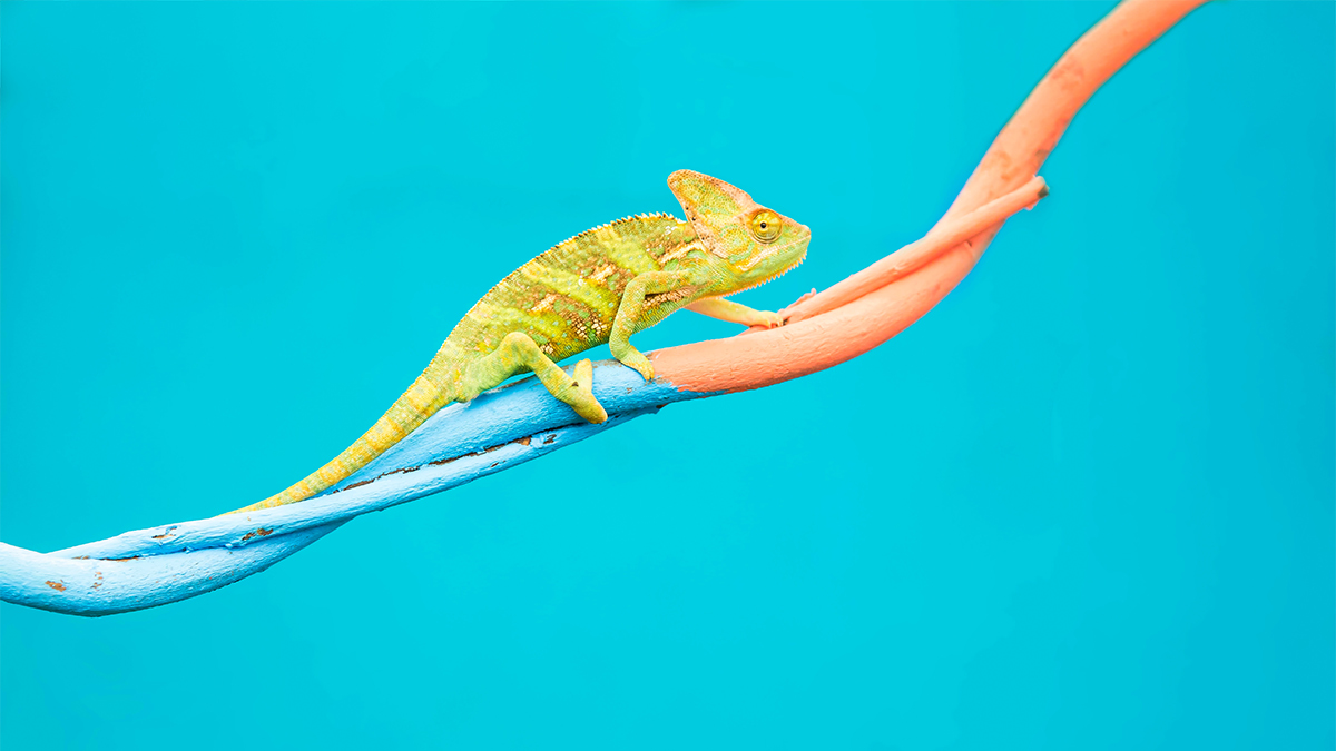 Adaptability Is Both Our Greatest Strength And Weakness – The Life and ...